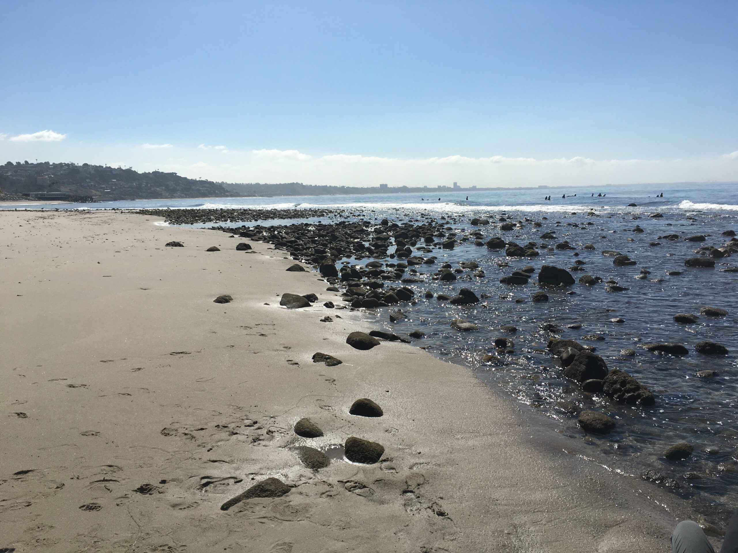 Rocky Intertidal - The Bay Foundation
